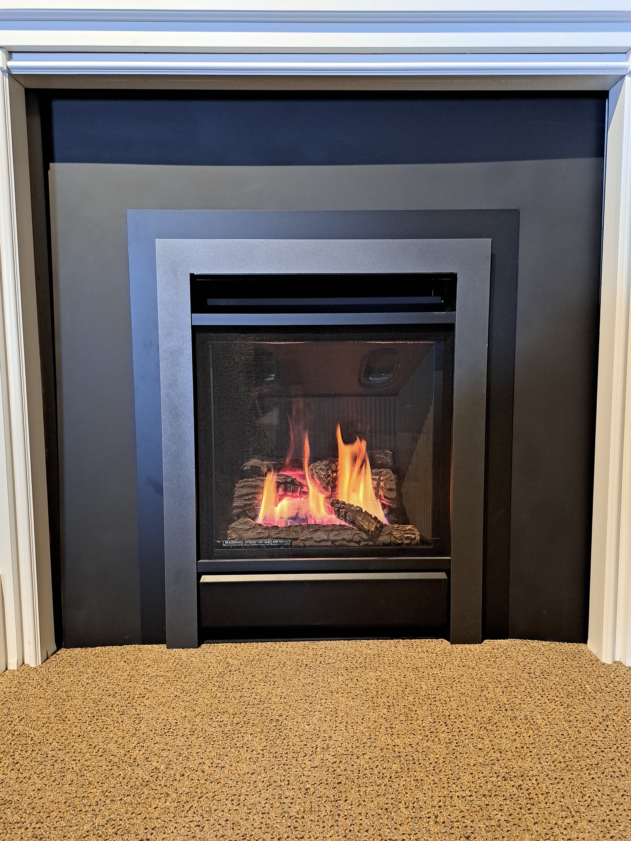 Valor Portrait Gas Fireplace - Demo Sale - SAVE $600 — Fireplaces ...